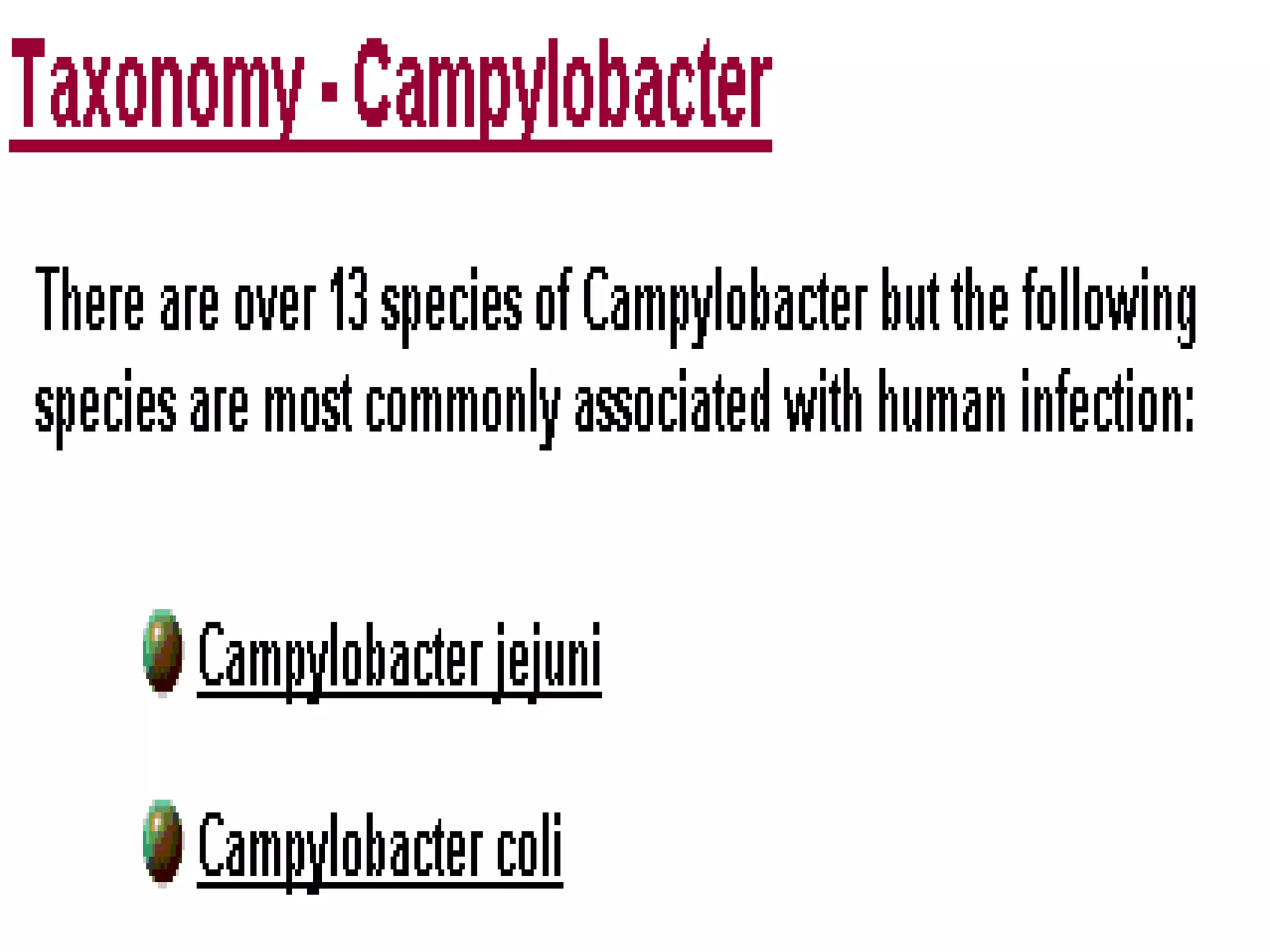 Campylobacter & Helicobacter | PPT