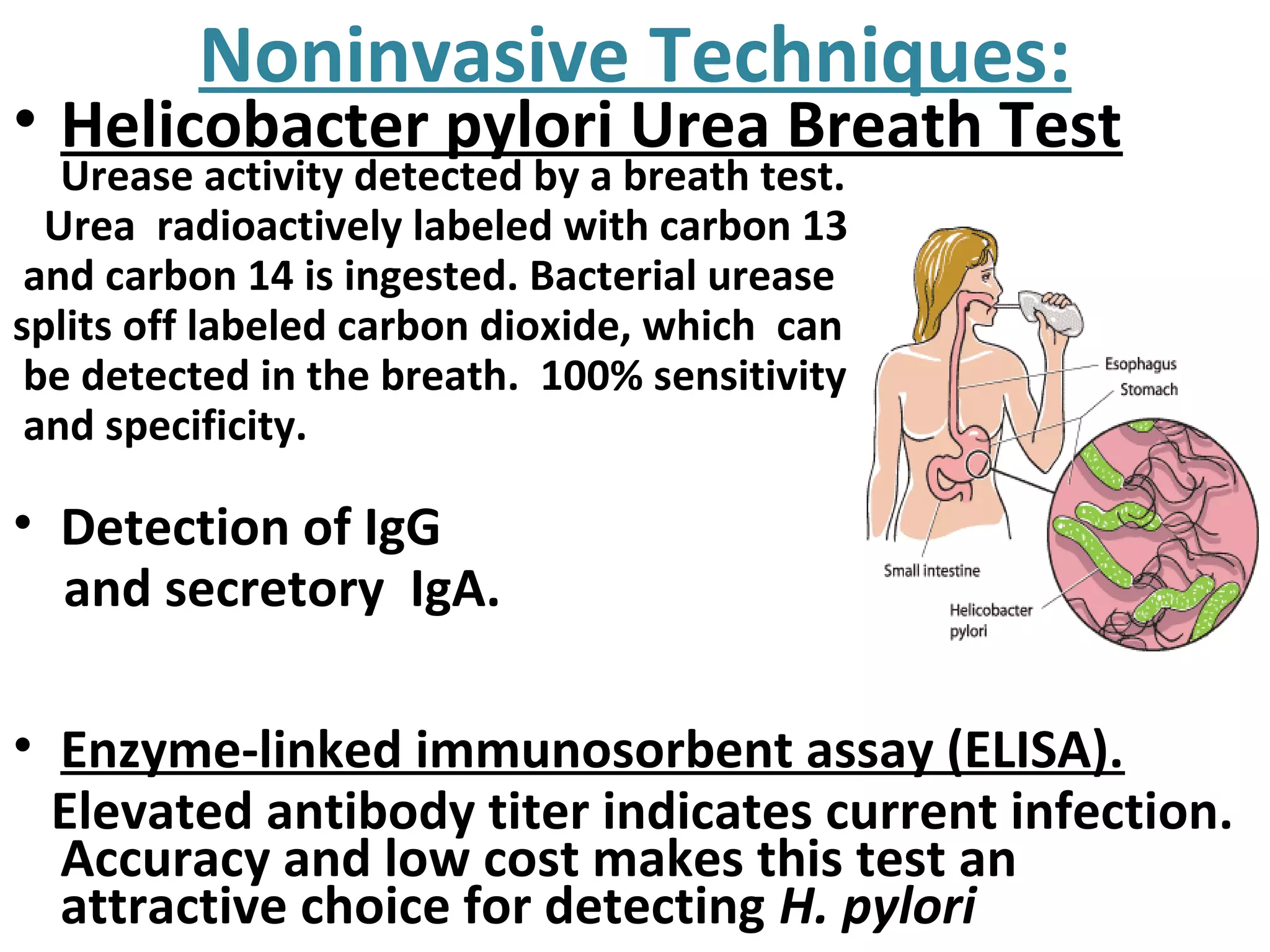 Campylobacter & Helicobacter | PPT