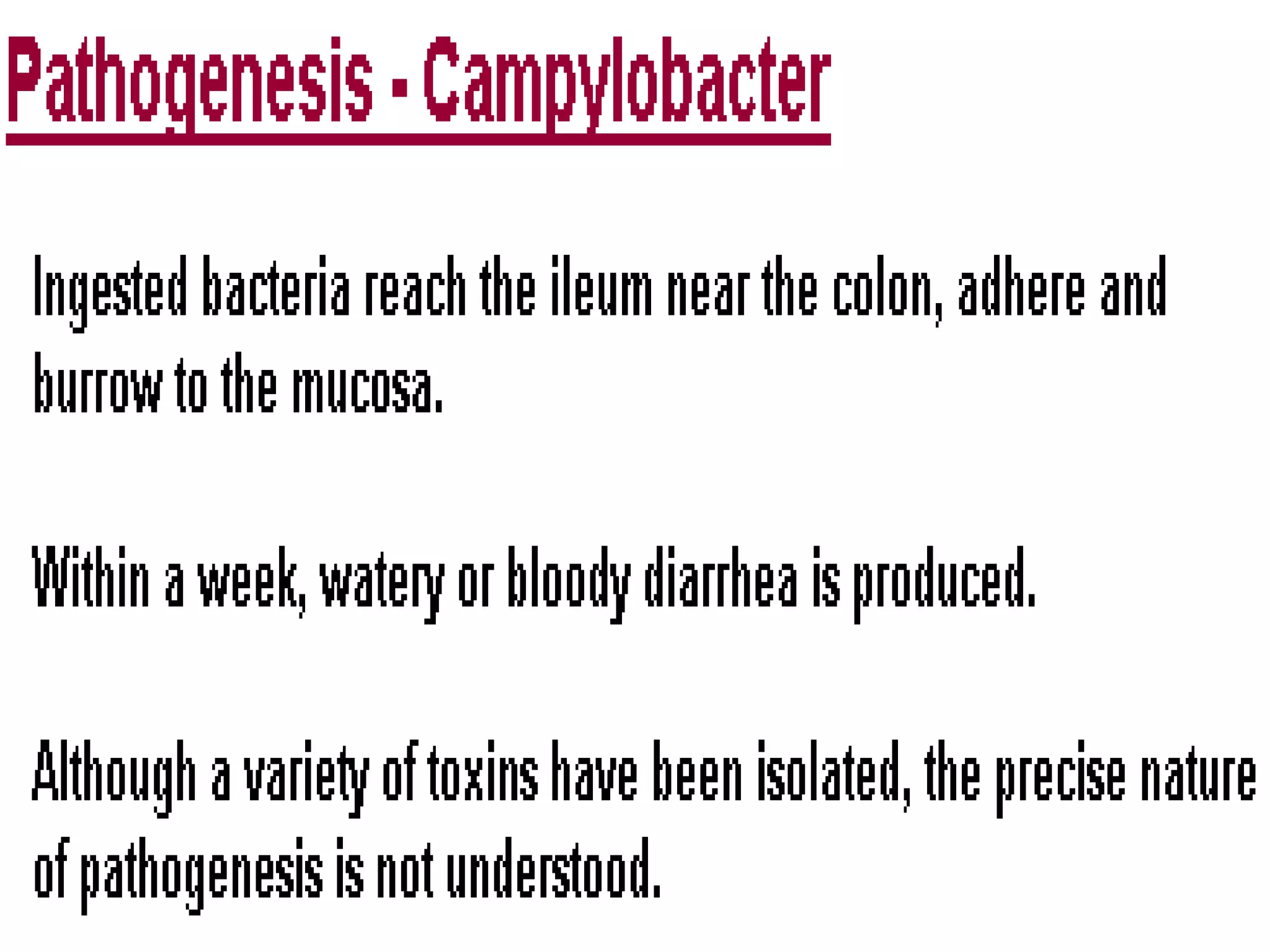 Campylobacter & Helicobacter | PPT