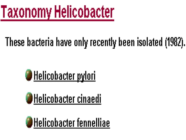 Campylobacter & Helicobacter | PPT