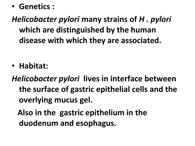 Campylobacter & Helicobacter | PPT