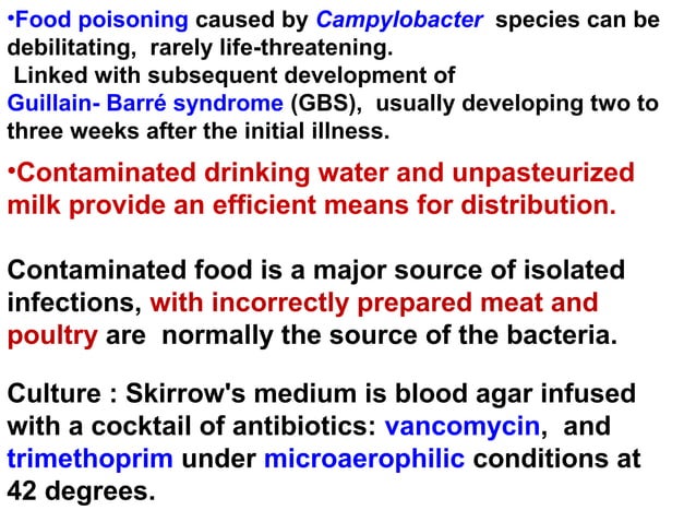 Campylobacter & Helicobacter | PPT