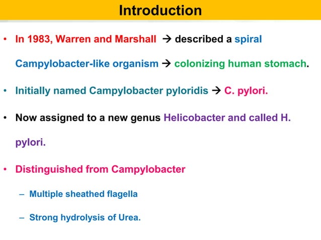 Campylobacter & Helicobacter.ppt