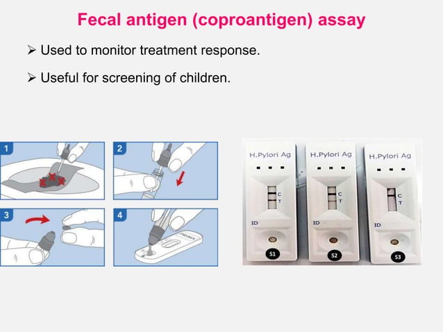 Campylobacter & Helicobacter.ppt