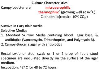 Campylobacter & helicobacter dr. negi | PPTX