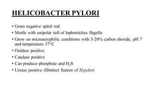 Campylobacter, Helicobactor and Legionella (1).pdf