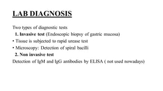 Campylobacter, Helicobactor and Legionella (1).pdf