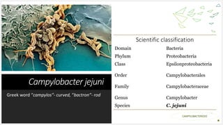 Campylobacteriosis | PPSX