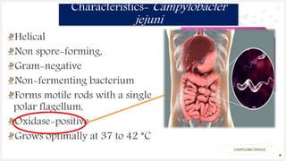 Campylobacteriosis | PPSX