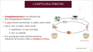 Campylobacteriosis | PPSX