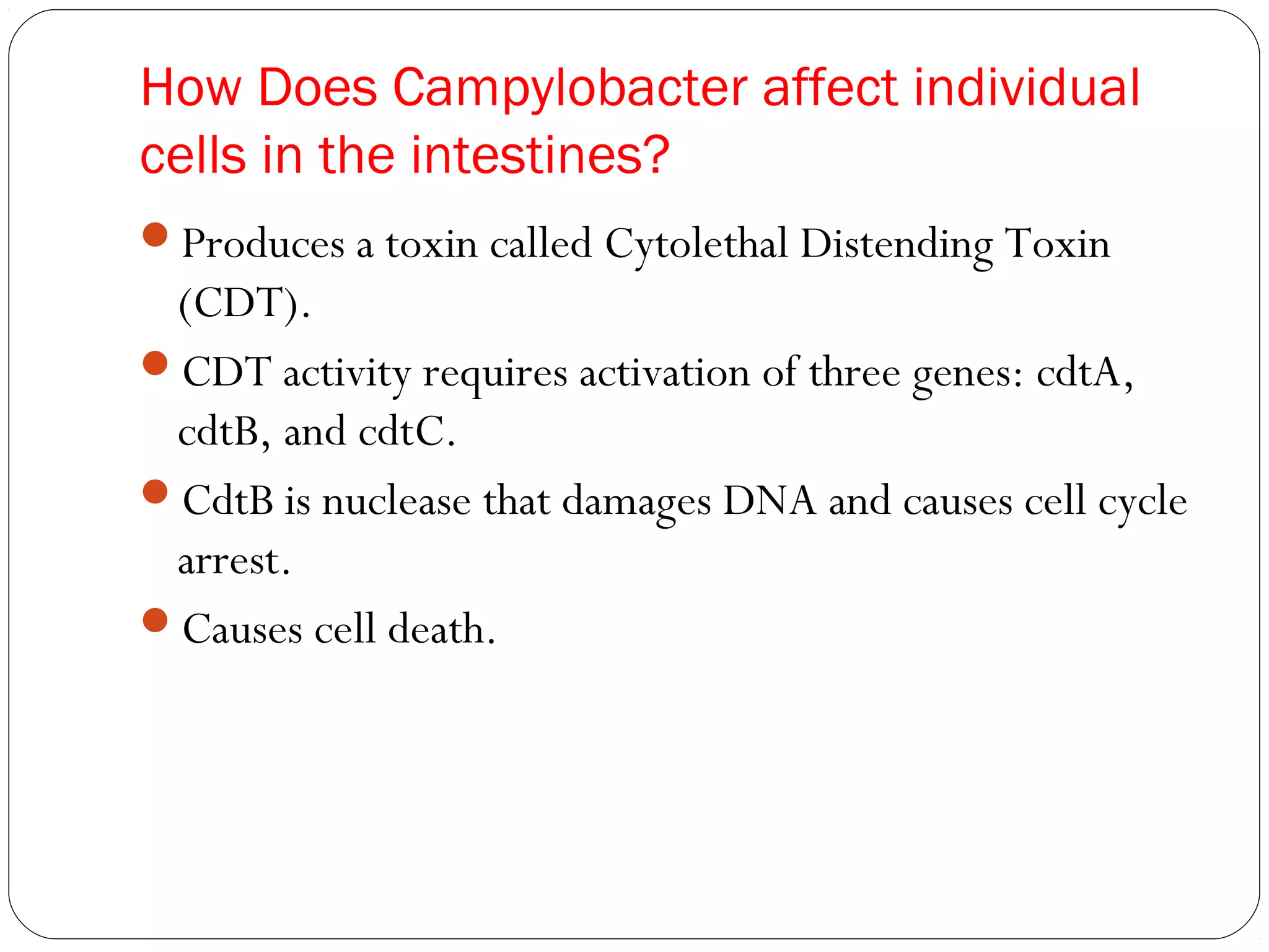 Campylobacter jejuni | PPT
