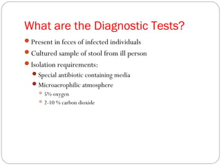 Campylobacter jejuni | PPT