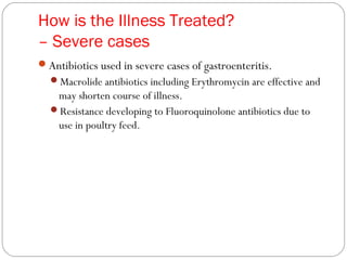 Campylobacter jejuni | PPT