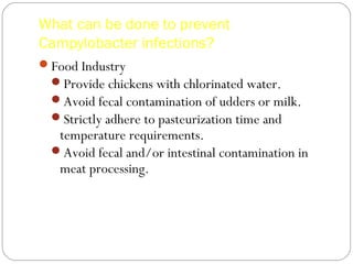Campylobacter jejuni | PPT