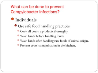 Campylobacter jejuni | PPT