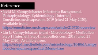 Campylobacter jejuni | PPTX
