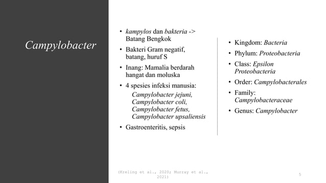 Campylobacter Introducction Microbiology.pptx