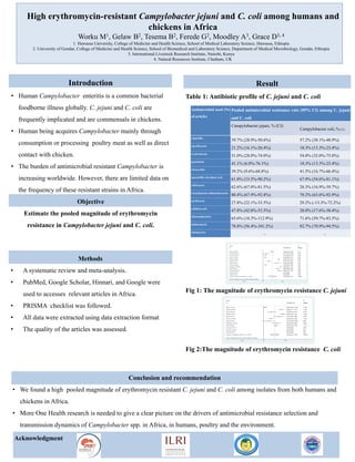 High erythromycin-resistant Campylobacter jejuni and C. coli among ...