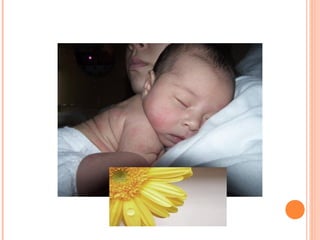 Camryn jade keala zoller | PPS
