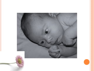 Camryn jade keala zoller | PPS
