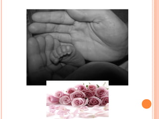 Camryn jade keala zoller | PPS