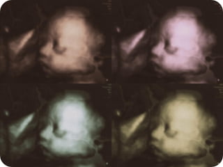 Camryn jade keala zoller | PPS