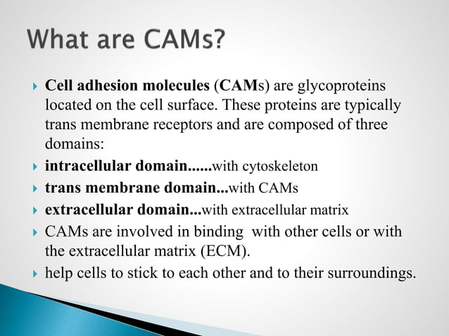 cell adhesion molecules | PPTX cell adhesion molecules | PPTX