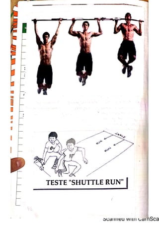 Physical Education Practical File Class XII CBSE | PDF