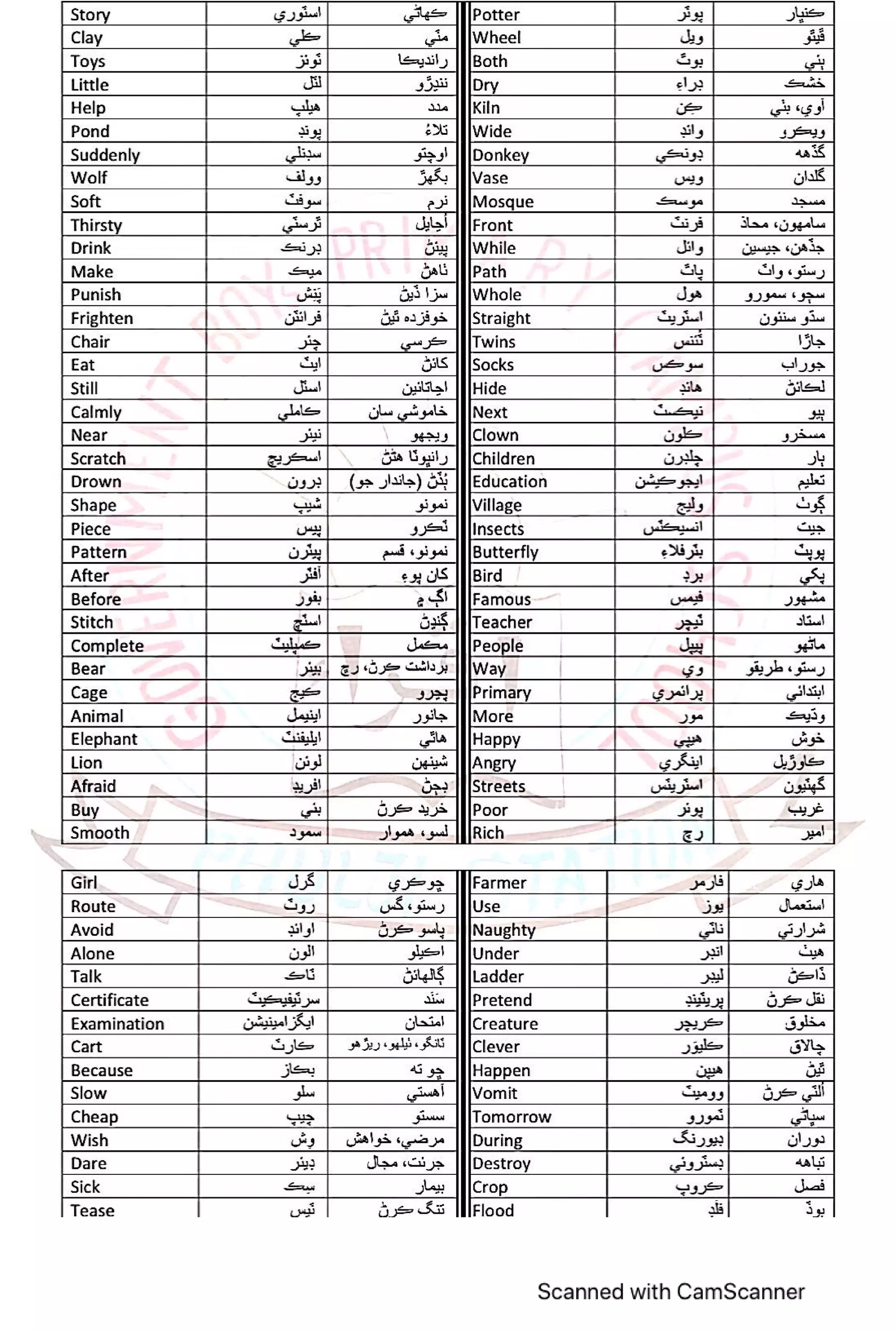 CLASS 5 ENGLISH NOTES FROM SINDH TEXT BOARD BOOK FOR JEST AND PST TEST ...