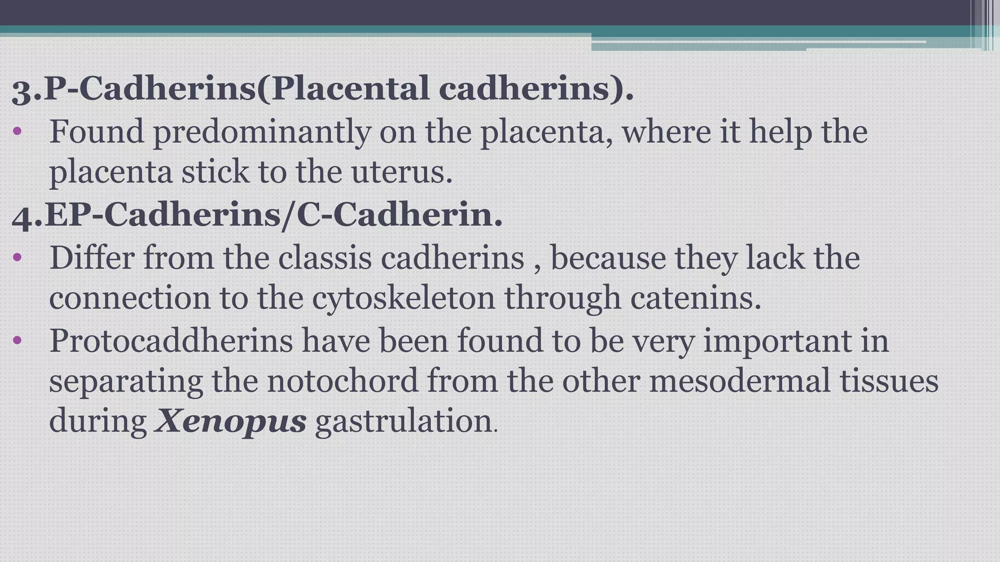 Cell Adhesion Molecules(cams) and its types, Cadherins and Integrins ...