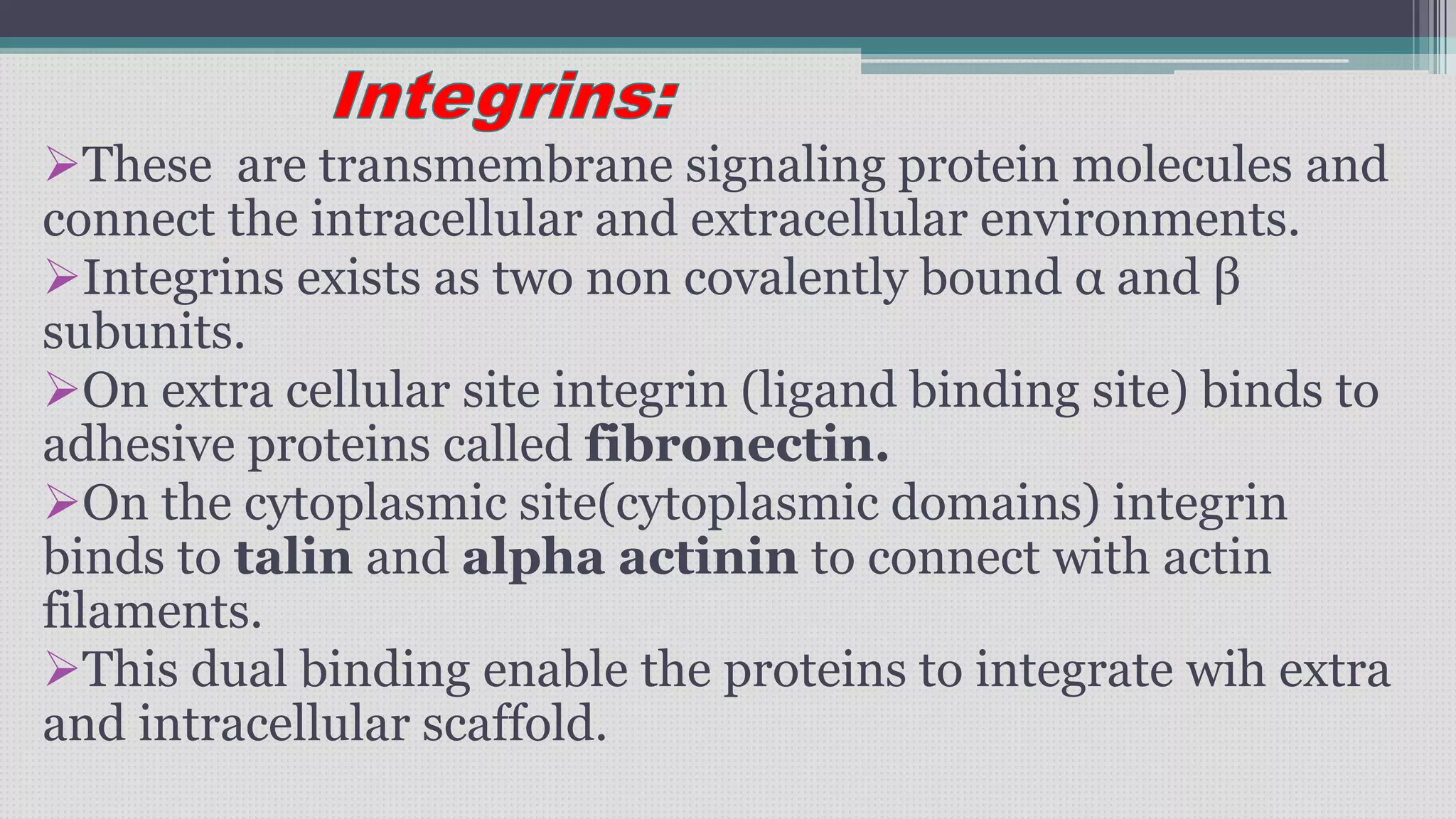 Cell Adhesion Molecules(cams) and its types, Cadherins and Integrins ...