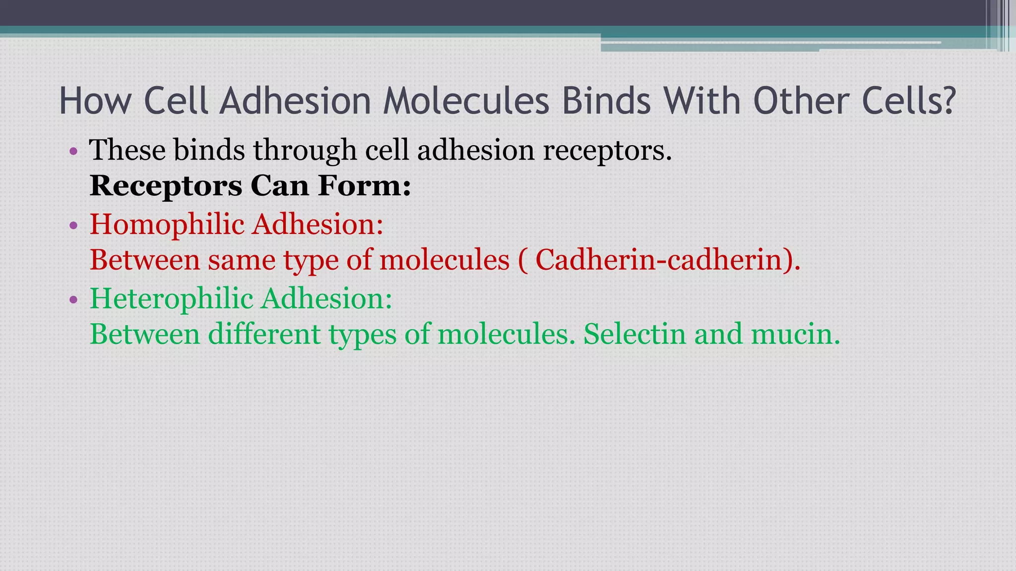 Cell Adhesion Molecules(cams) and its types, Cadherins and Integrins ...