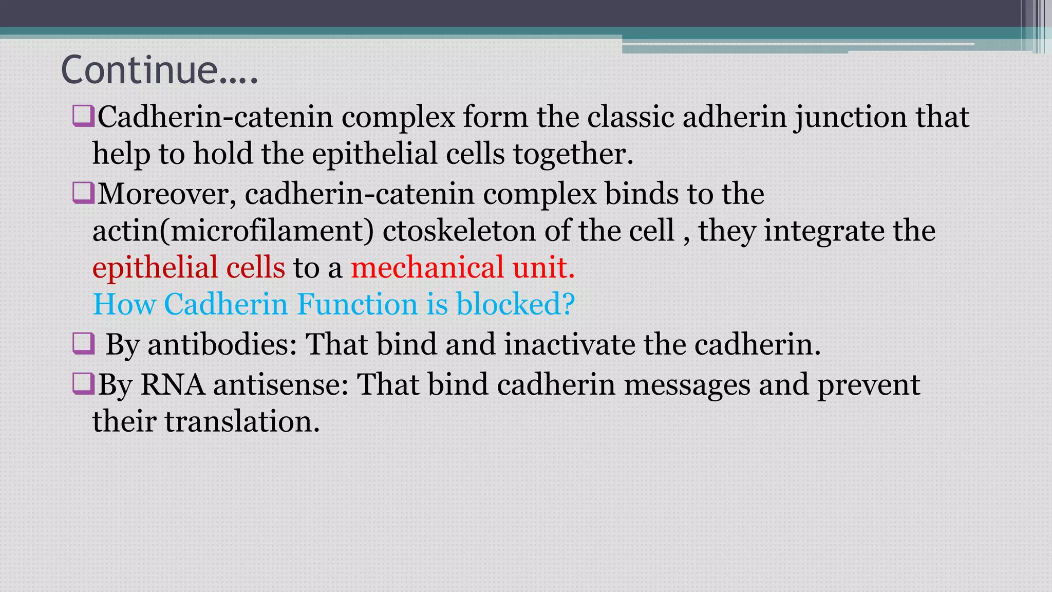 Cell Adhesion Molecules(cams) and its types, Cadherins and Integrins ...