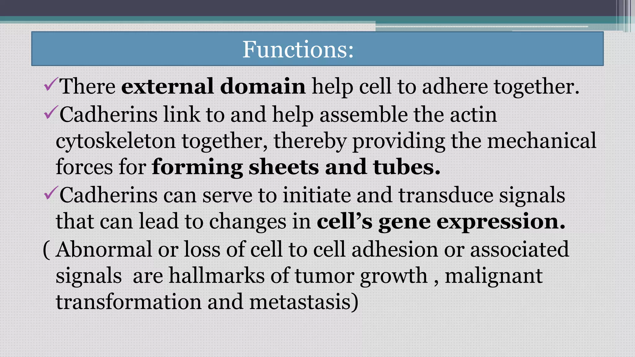 Cell Adhesion Molecules(cams) and its types, Cadherins and Integrins ...