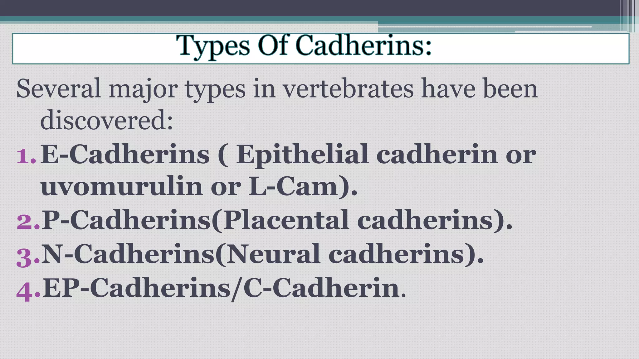 Cell Adhesion Molecules(cams) and its types, Cadherins and Integrins ...