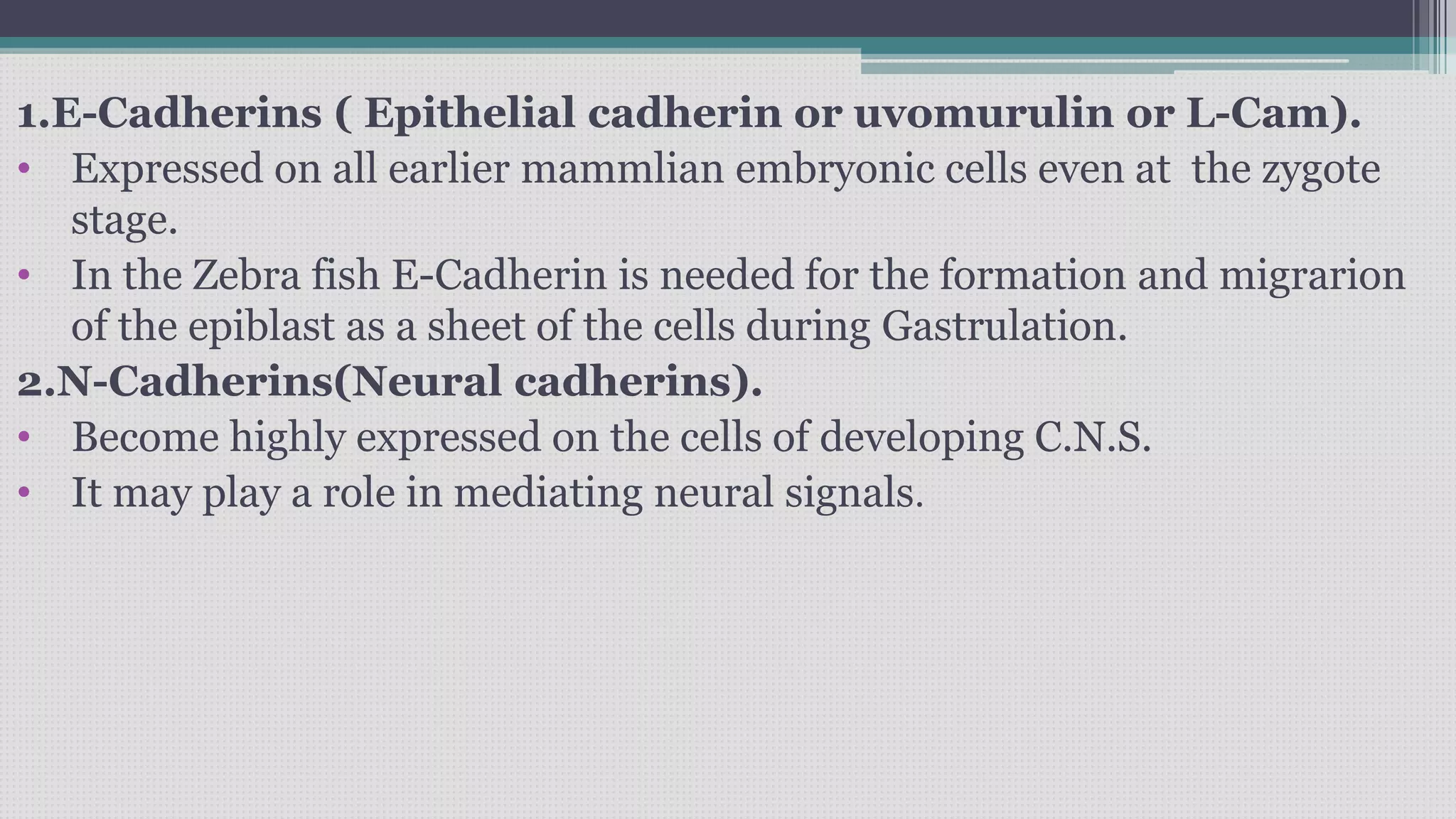 Cell Adhesion Molecules(cams) and its types, Cadherins and Integrins ...