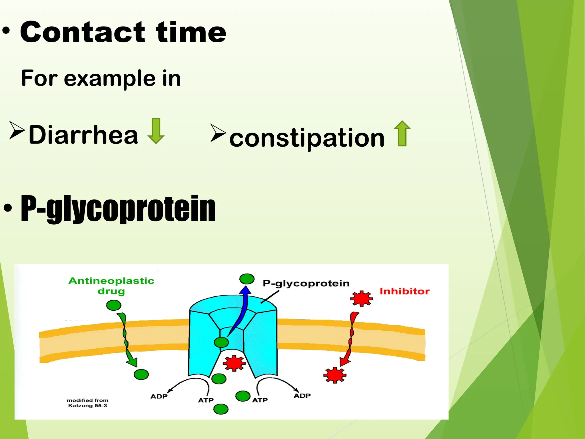 absorption of drugs through various routes | PPT