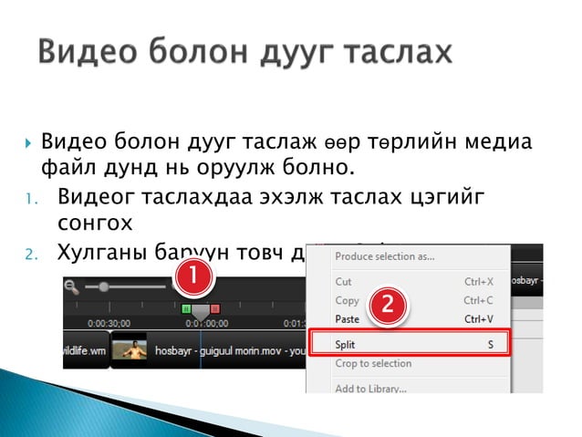 Camtasia Studio.pptx