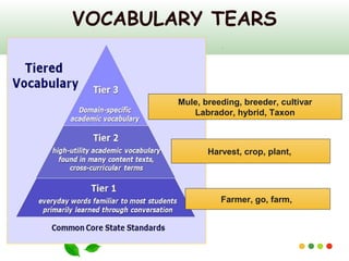 ENHANCING STUDENTS' TECHNICAL VOCABULARY THROUGH "MEMRISE" | PPT