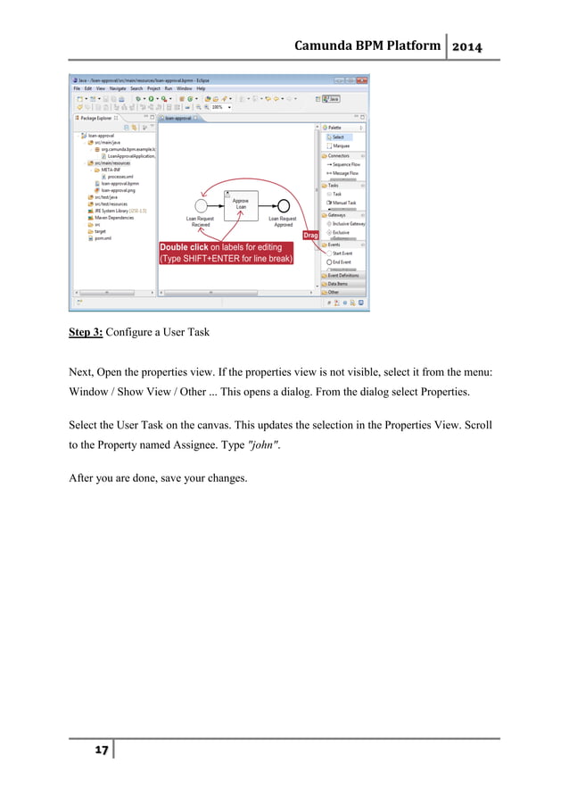 Camunda-BPM-Loan-Assessment-Process-Lab-v1.0.pdf | Computer Software ...