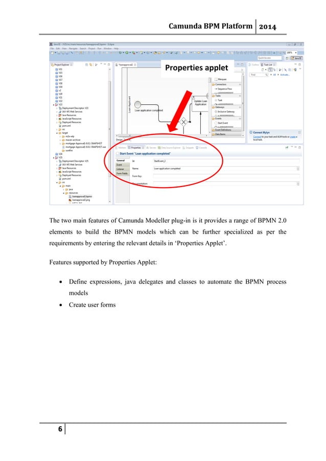 Camunda-BPM-Loan-Assessment-Process-Lab-v1.0.pdf | Computer Software ...