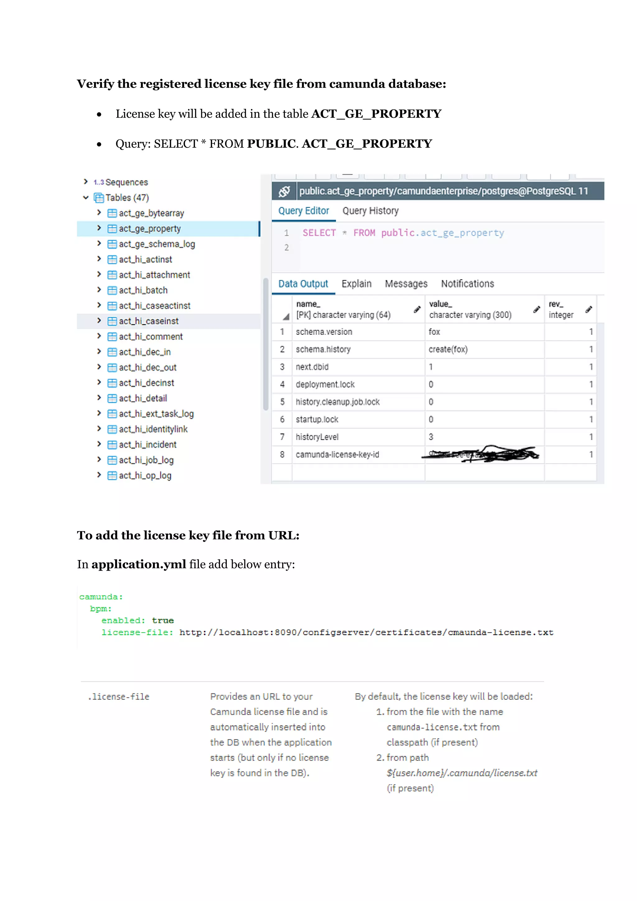 Camunda BPM Enterprise Application Configuration | PDF | Cloud Computing | Internet