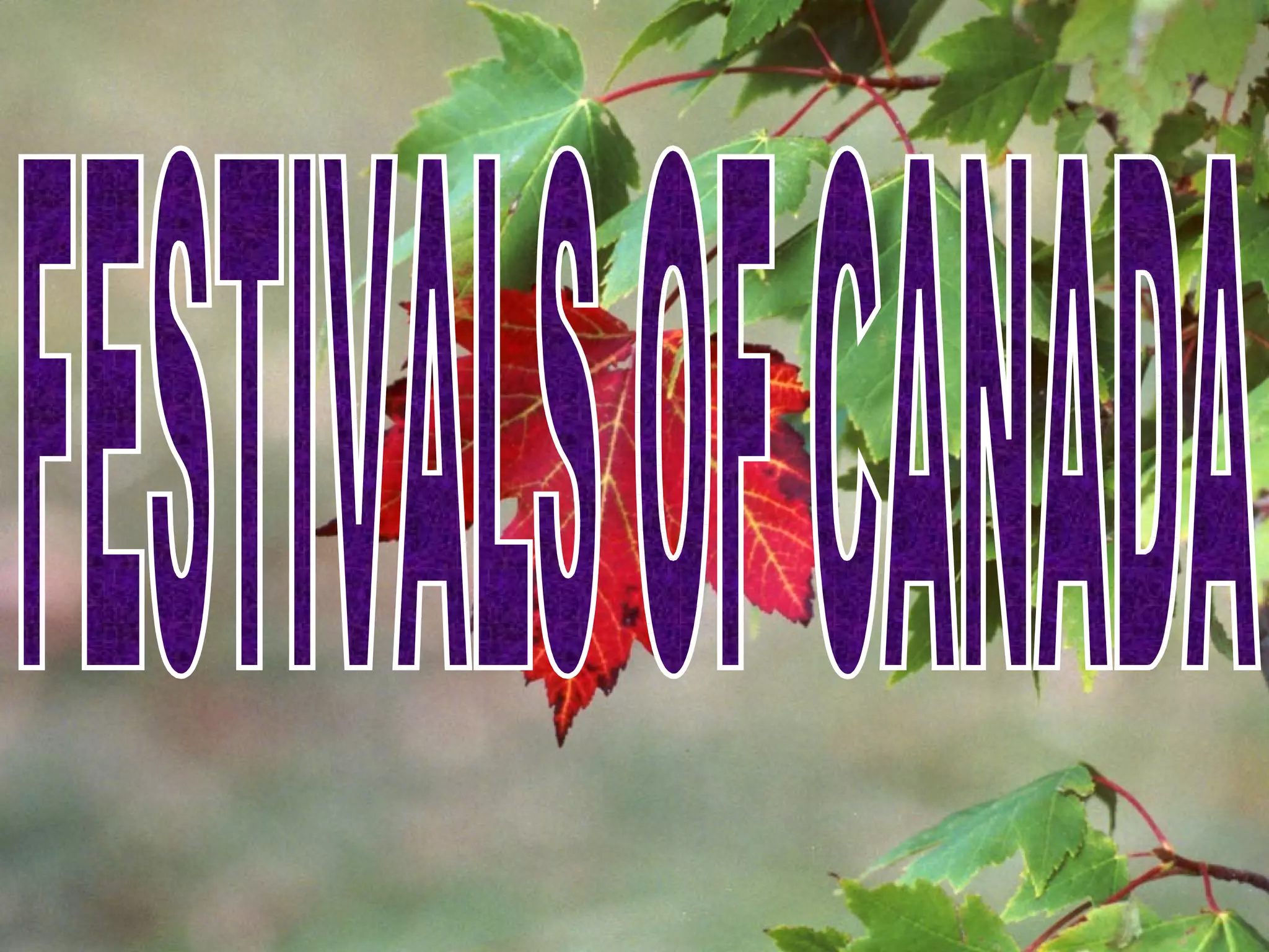 canadian festivals | PPT