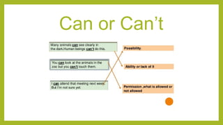 Can or can't | PPT