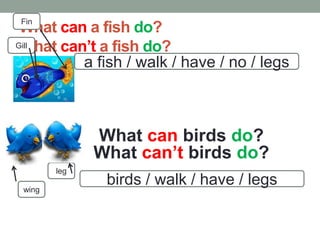 Can cant-to express-ability | PPTX