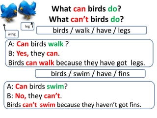 Can cant-to express-ability | PPTX | Cats | Pets