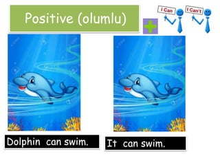 can-flashcards_134399.pptx