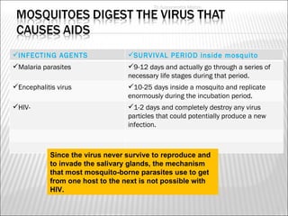 Can Mosquitoes Transmit Hiv | PPT