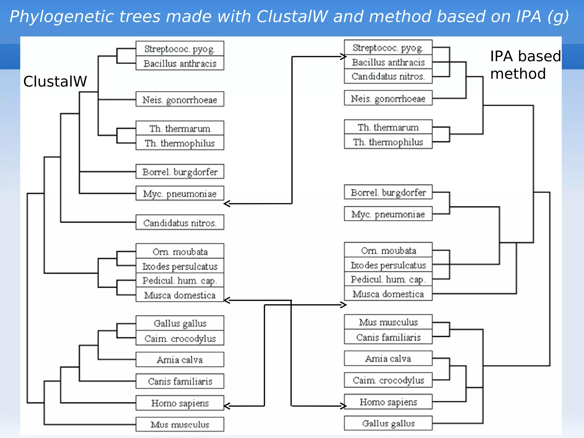IPA for DNA analysis | PPT