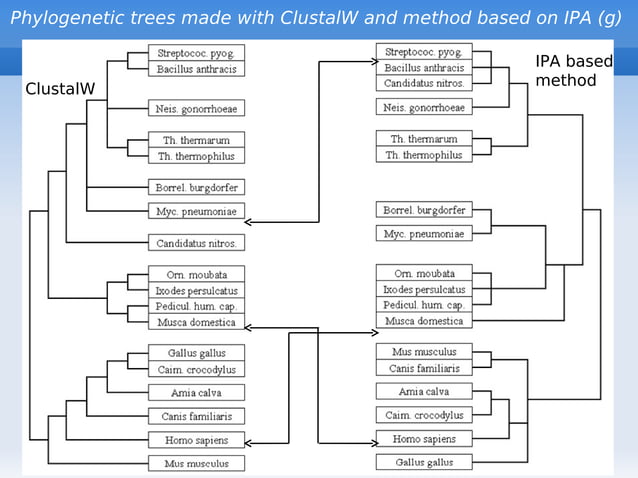 IPA for DNA analysis | PPT